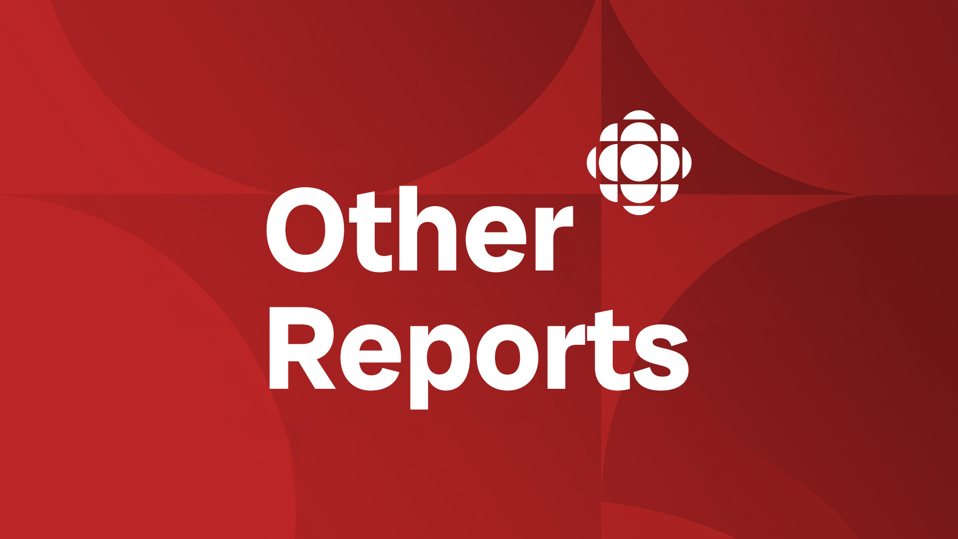 Other Reports in white text with a gem on a red background